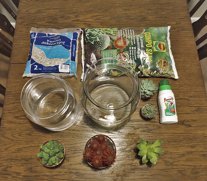 Jak zrobić las w słoiku? Kaktusy i sukulenty | MAKE HOME